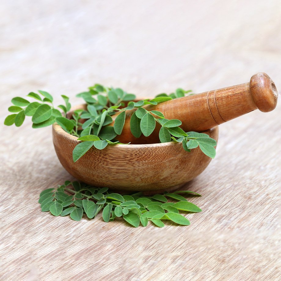 MORINGA ORGÂNICA EM PÓ | AYURVEDA SIMPLES®